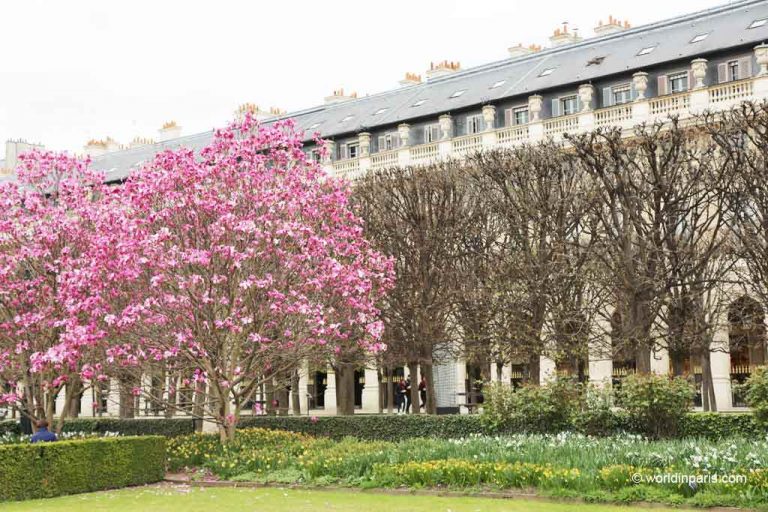 French Revolution Walking Tour, Paris (Self-Guided) | World In Paris