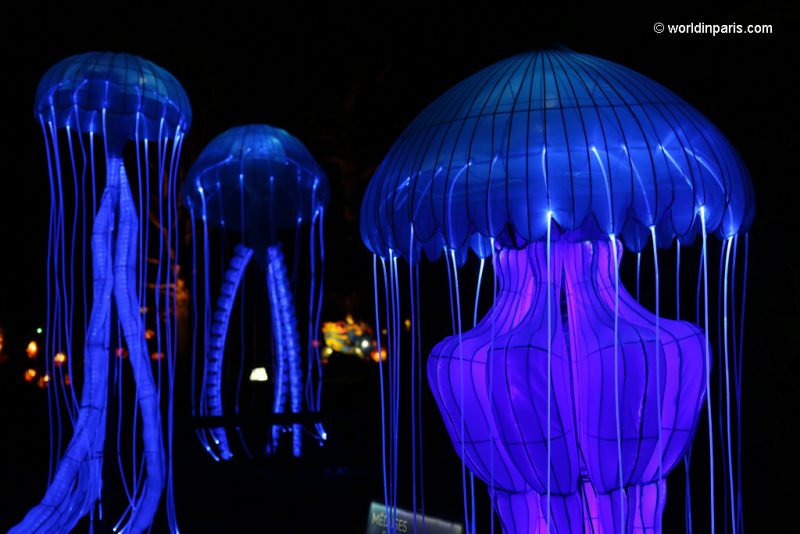 Christmas Light Festivals in Paris (and Paris Region) | World In Paris