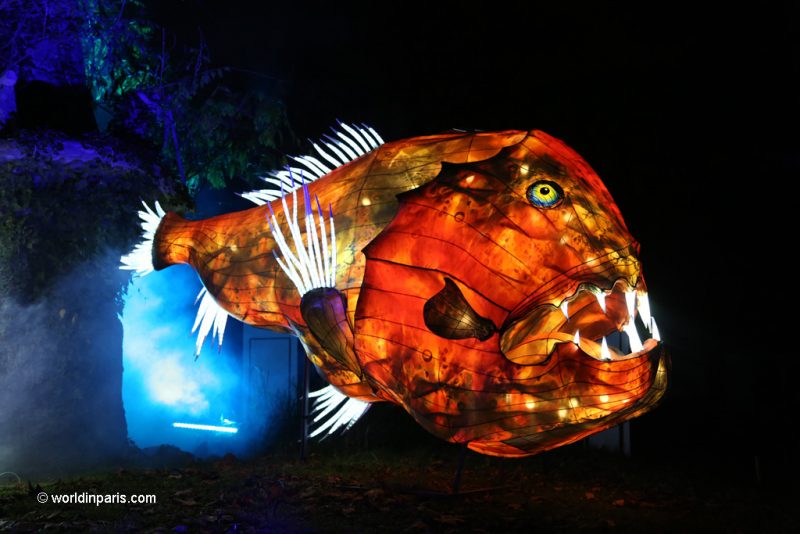 Festival of Lights Paris 2019 - 2020 at Jardin des Plantes – World In Paris