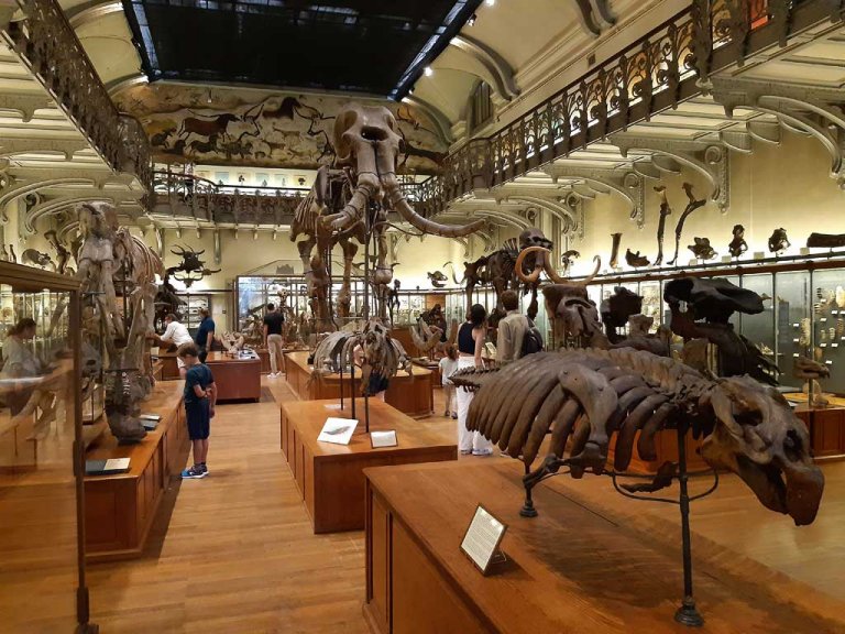 Quick Guide to the Jardin Des Plantes, Paris | World In Paris