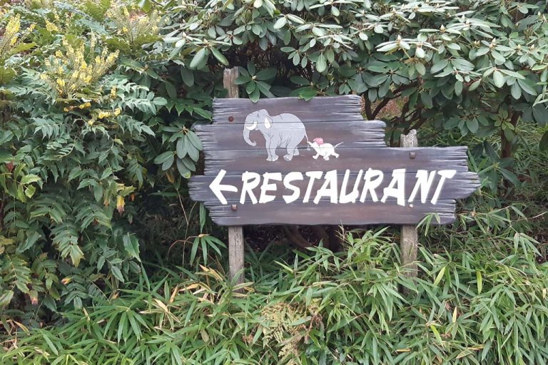 Priority Card – Disneyland Paris Disability Pass & Service | World In Paris