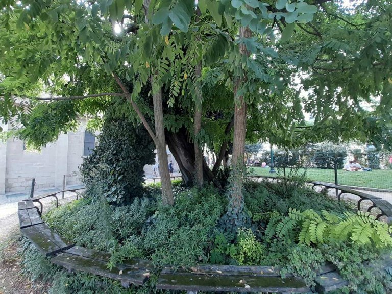 Self-Guided Latin Quarter Walking Tour (Map Included!) | World In Paris